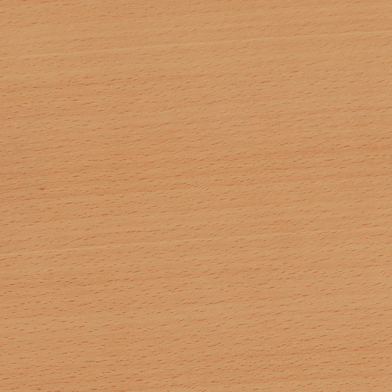 Haven Guest - Arcadia Contract