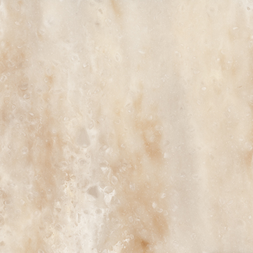 Haven Guest - Arcadia Contract